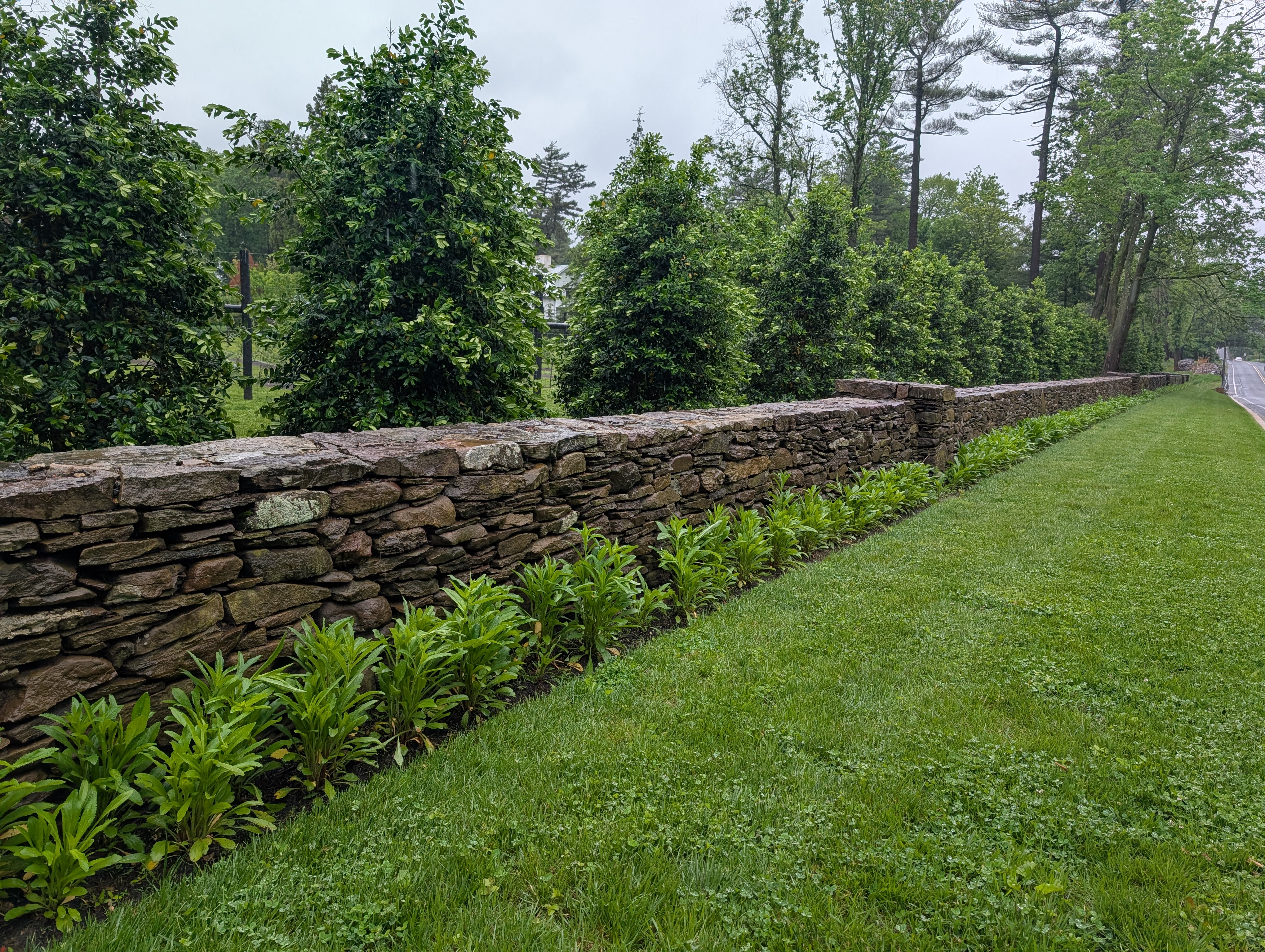 Services – ABC Landscaping